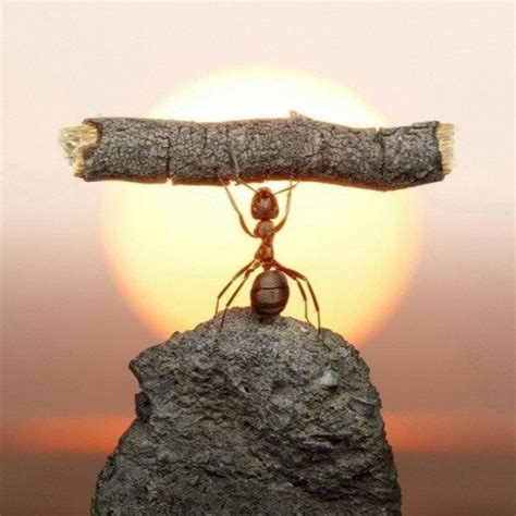 Natalie Siebert Email Address And Phone Number The Bi State Develpment Agency Dba Metro Senior