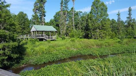 Phinizy Swamp Nature Park Augusta 2020 All You Need To Know Before