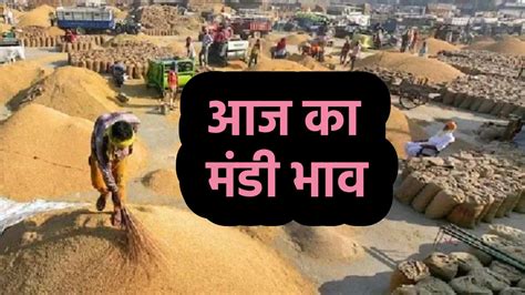 Rajasthan Mandi Bhav 4 June 2024 सरसों गेंहू के बाद चने के दाम में