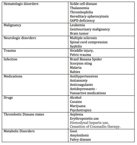 PE Male Genitalia And Rectal Exam Slides Flashcards Quizlet