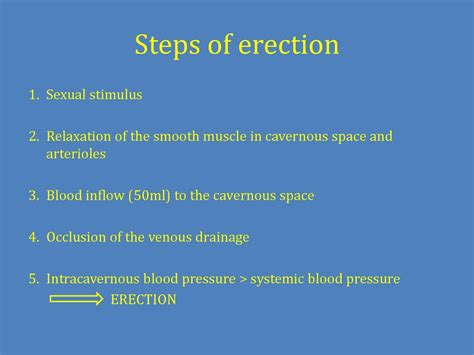 Reproductive organs Dr Sándor Katz ppt download