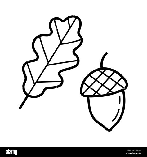 Acorn With Oak Leaf Hand Drawn Sketch Icon Of Autumn Botanical Element