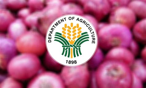 Supply Ng Sibuyas Inipit Ng Sindikato Da
