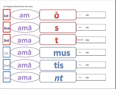 Latin Verb Synopsis Blank Chart