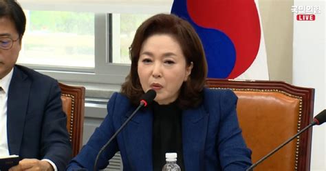 친윤 김민전 野 `김건희 국감` 1999년 석사논문이 교육의 중요 이슈냐