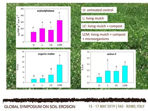 Soil Quality Assessment By Enzyme Activities In An Olive Orchard