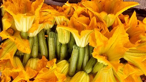 Datos Que Debes Saber De La Flor De Calabaza Food And Wine En Español