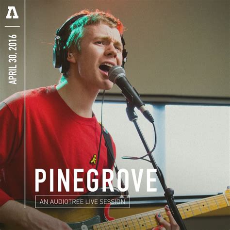 Pinegrove Pinegrove On Audiotree Live 2016