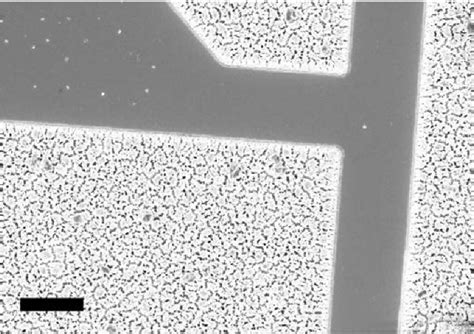 Figure 1 From Features Of Long Ybco Josephson Junctions Fabricated By