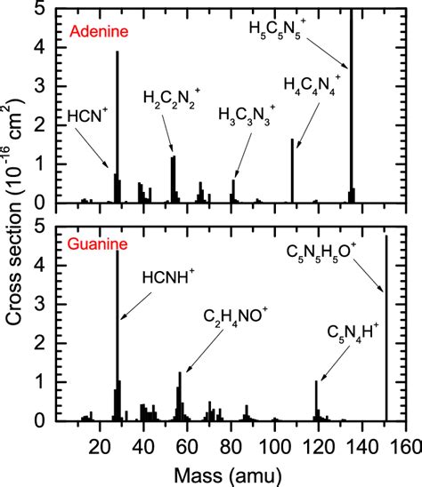 Partial Electron Ionization Cross Sections For Cytosine And Thymine At Download Scientific