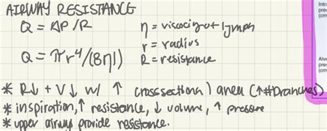 Physiology Block Flashcards Quizlet