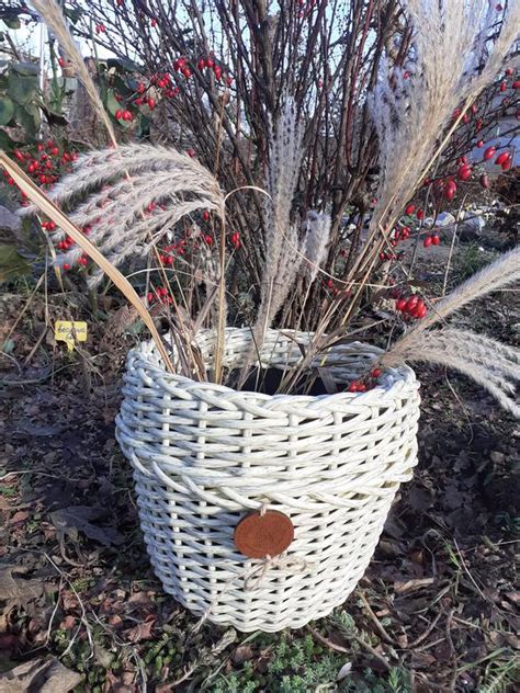 Кашпо з ротанга на 5 літрів — ціна 320 грн у каталозі Кашпо Купити товари для дому та побуту за