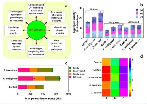 Figure 1 From Potential Of Microalgae And Cyanobacteria To Improve Soil