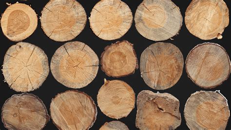 Log Texture