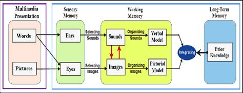 Mayers Cognitive Theory Of Multimedia Learning Model Mayer 2001