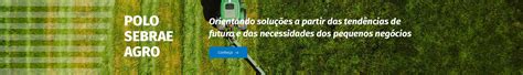 Polo Sebrae Agro