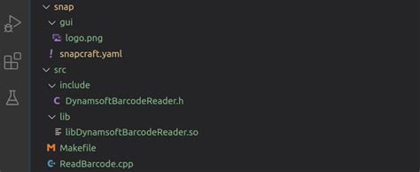 how to build and publish snap packages with linux shared libraries