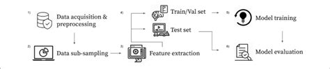 Single Experiment Pipeline 1 Read Raw Data Remove Baseline Download Scientific Diagram