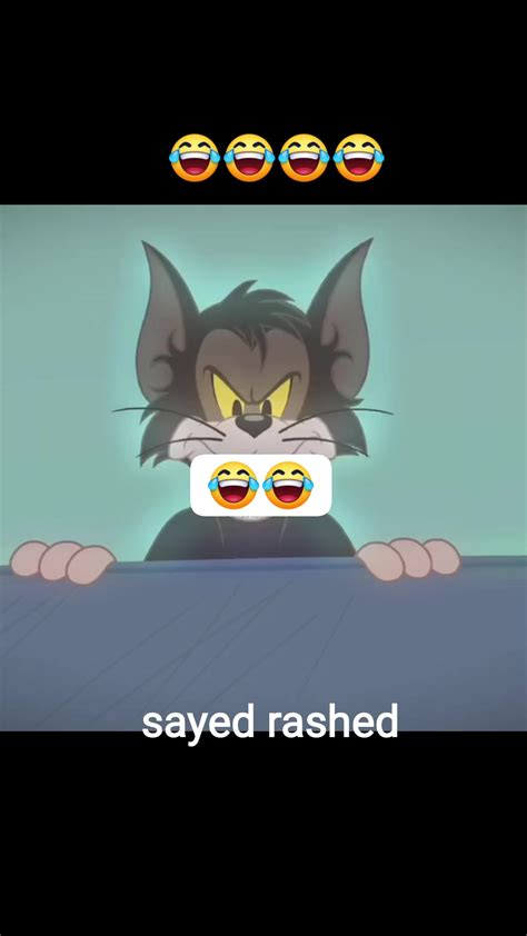 Sayed Rashed
