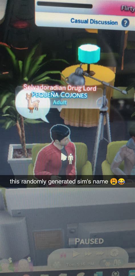 This Randomly Generated Sim S Name Is Killing Me R Thesims