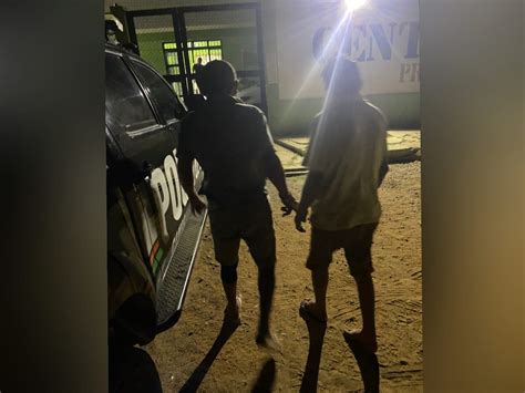 Dois homens são presos após reclamar de latidos e matar cão a facadas no Ceará Ceará G