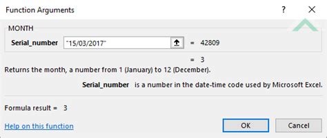 Excel MONTH Function Excel VBA