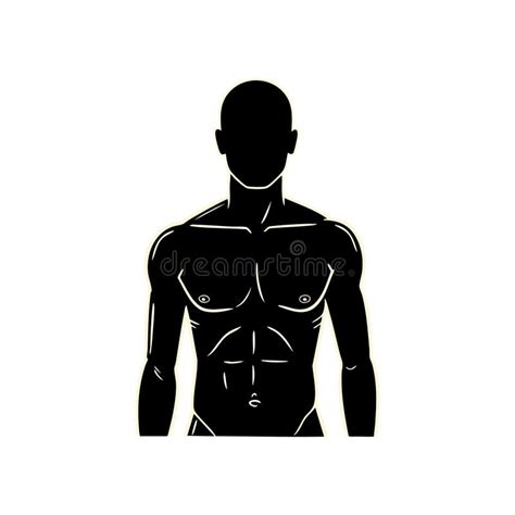 Male Torso Silhouette Vector With Muscular Chest And Defined Abs