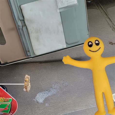 ベランダでよく蜂を見かけるのに何故か見失って消えるファンタジーが起きてたので、何でだろうと思って業者さんに調べてもらったところ、給湯器の中にアシナガバチが巣を作ってました！ 気づいてよかっ