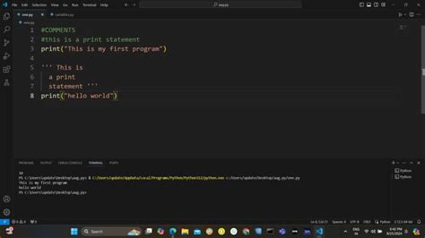 Task 4 Practice Comments Variables Data Typestype Conversion Input