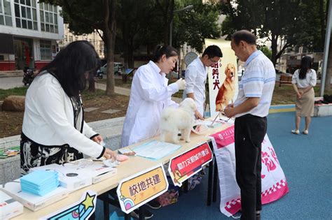 【暑期社会实践】畜牧兽医学院顺利开展“文明养护家园美，猫趴治愈心灵美”暑期社会实践 畜牧兽医学院
