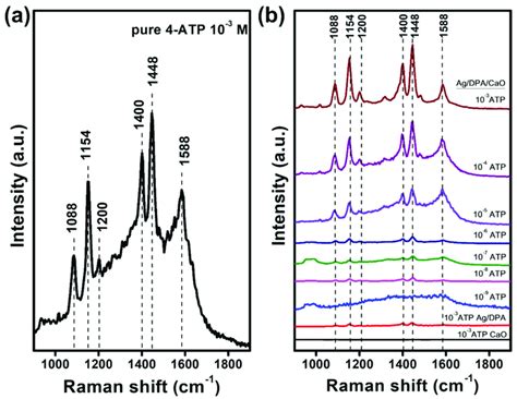 A Raman Spectra Of Pure 4 Atp 10 −2 M B Sers Spectra As A Function