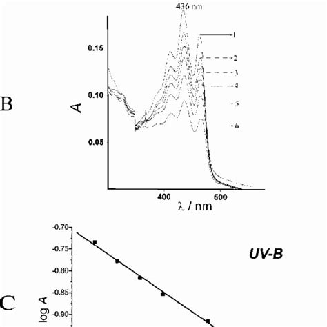A Structure of β carotene B changes in the absorption spectra of