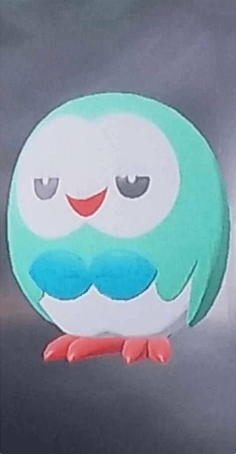 [8] Finally Got A Shiny Rowlet After Countless Hours Of Searching R Shinypokemon