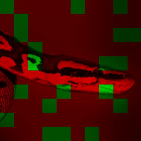 GitHub Sauphiemc Dichoptic Viewing Expt Dichoptic Visual Stimulation