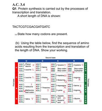 Answered Q1 Protein Synthesis Is Carried Out By The Processes Of