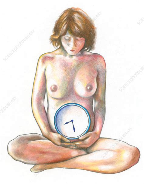 Biological Clock Stock Image C0172512 Science Photo Library