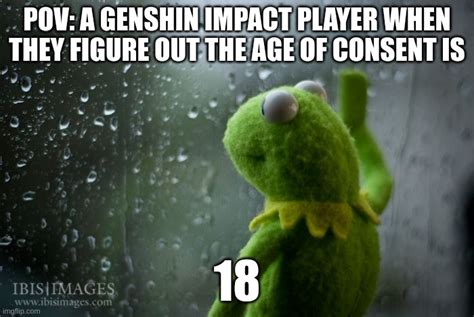 Average Genshin Impact Player Meme