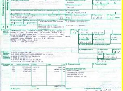 Как выглядит таможенная декларация Твои права