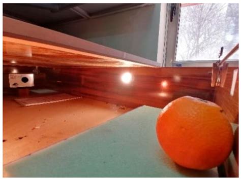 Algorithms Free Full Text Examination Of Lemon Bruising Using