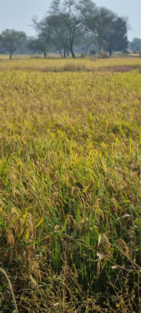 Balivada Santosh Kumar On Linkedin What You See Depends On How You View The World To Most