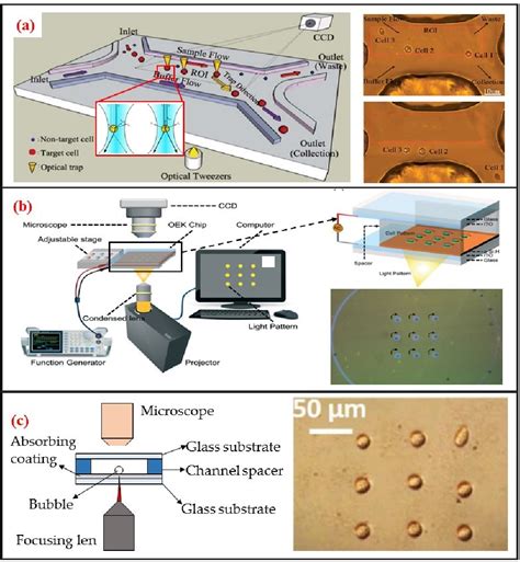 Figure 6 From Microfluidic Single Cell Manipulation And Analysis
