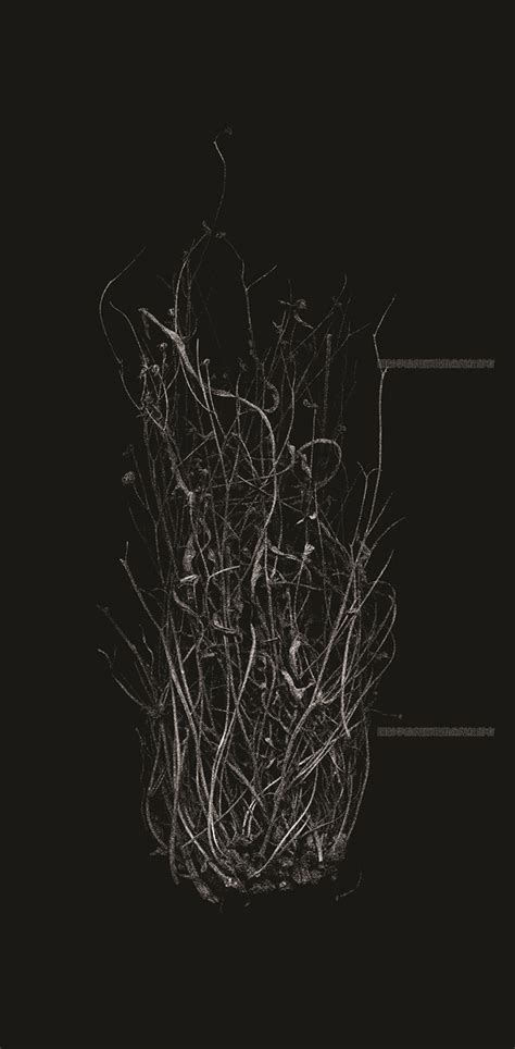 胡贤武作品 国际学院版画联盟