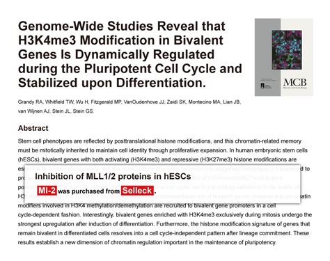 Mi 2 Menin Mll Inhibitor Histone Methyltransferase 抑制剂 现货供应 美国