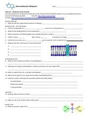 Understanding Macromolecules A Student S Guide Course Hero