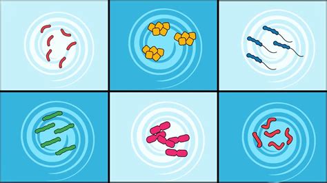 I3 Membrane On Linkedin Opportunistic Bacterial Pathogens Infection Prevention And Hygiene