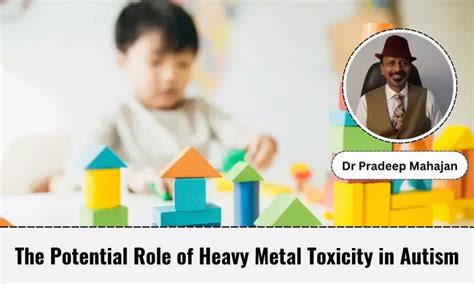 Understanding The Potential Role Of Heavy Metal Toxicity In Autism Dr Pradeep Mahajan