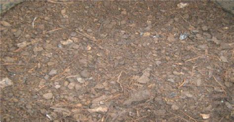 Raw Material Used For The Compost Download Scientific Diagram