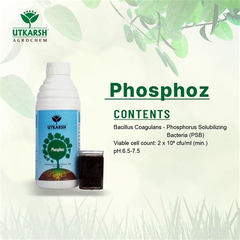 Phosphoz Phosphate Solubilizing Bacteria Psb