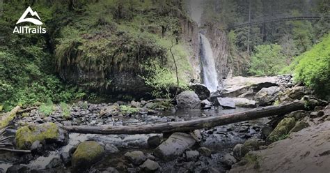 Best Trails In Siuslaw National Forest Oregon Alltrails