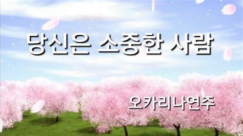 당신은 소중한 사람ccm 가사 Cover 팬지오카리나 Youtube